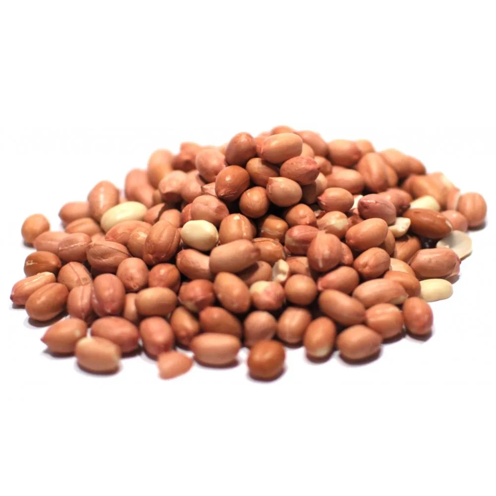 High Quality Raw Peanuts Without Shell Peanut Wholesalers Raw Peanuts ...