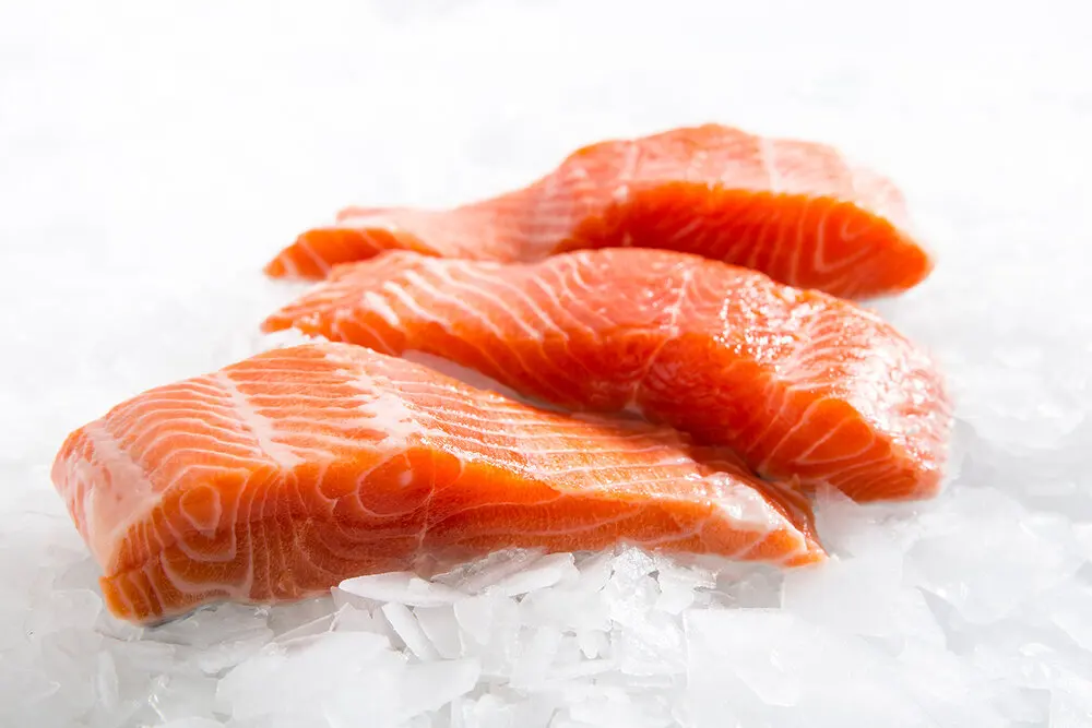 Best Quality Fresh IQF Frozen Atlantic Salmon Fillets Top Grade Vacuum ...