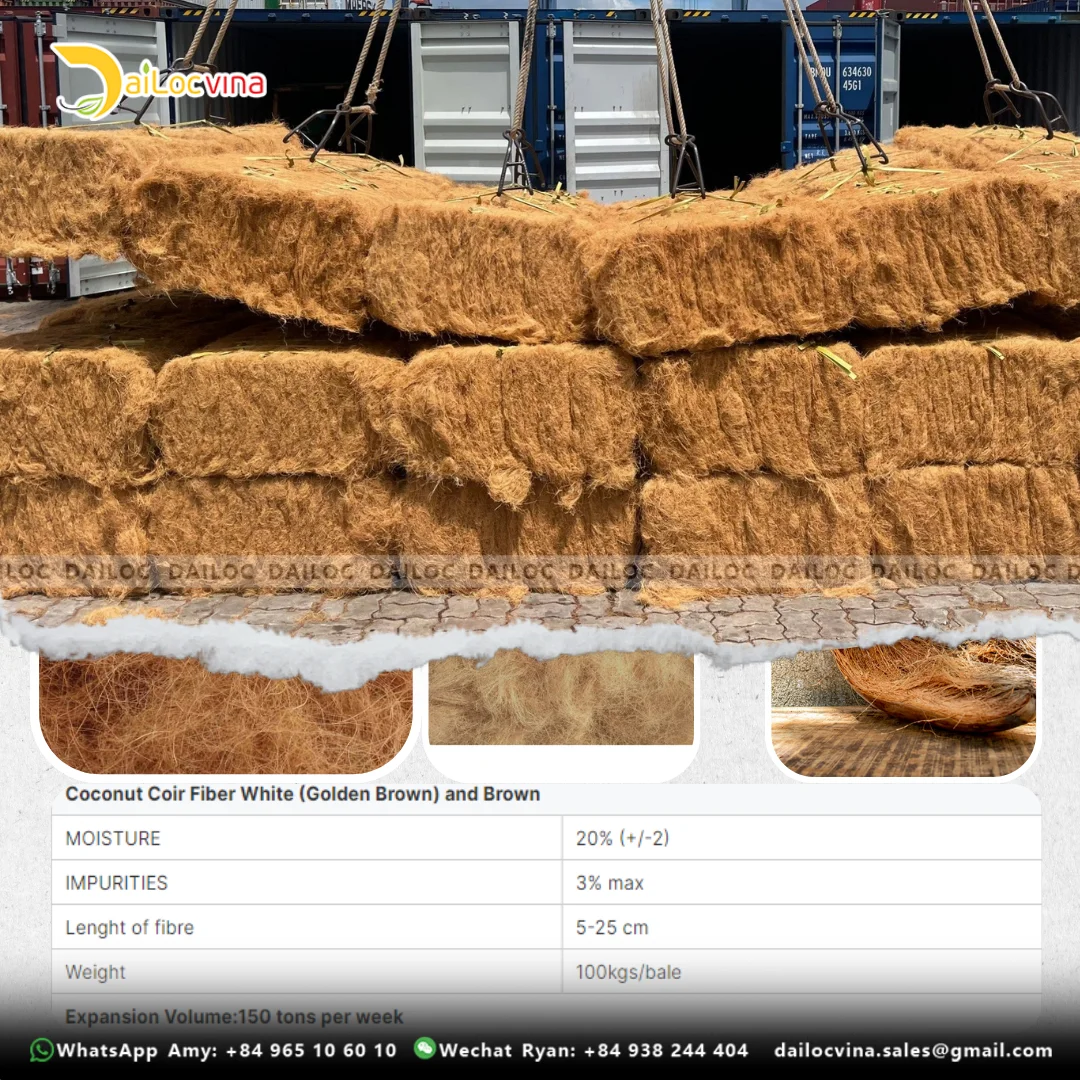 Sustainable Coconut Coir Fiber - Global Export from Vietnam