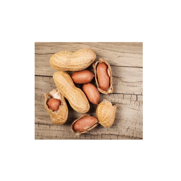 Bulk Raw Pure Sun Dried Peanut | Peanuts Prices - Buy Red Skin Peanuts ...