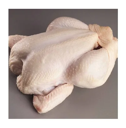 Whole Chicken Frozen / Halal Chicken Feet / Frozen Chicken Paws Brazil ...