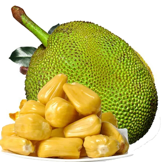 Tumeric Jackfruit Made In Vietnam For Export Cheap Price 100% Natural Organic - Buy Fresh ...