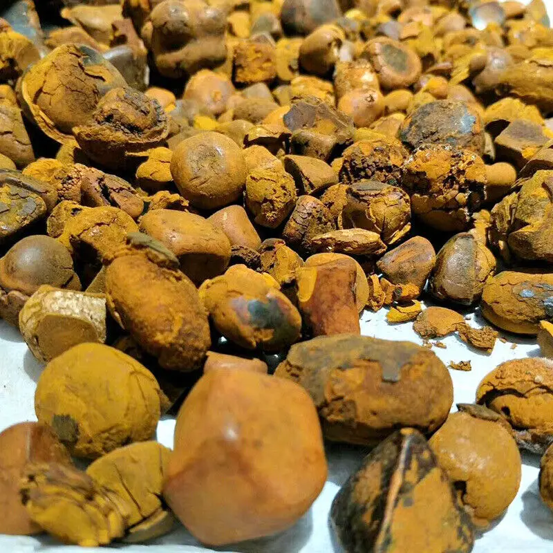 Wholesale Cow Gallstone / Ox Gallstones Foe Sale - Buy Caw Gallstone ...