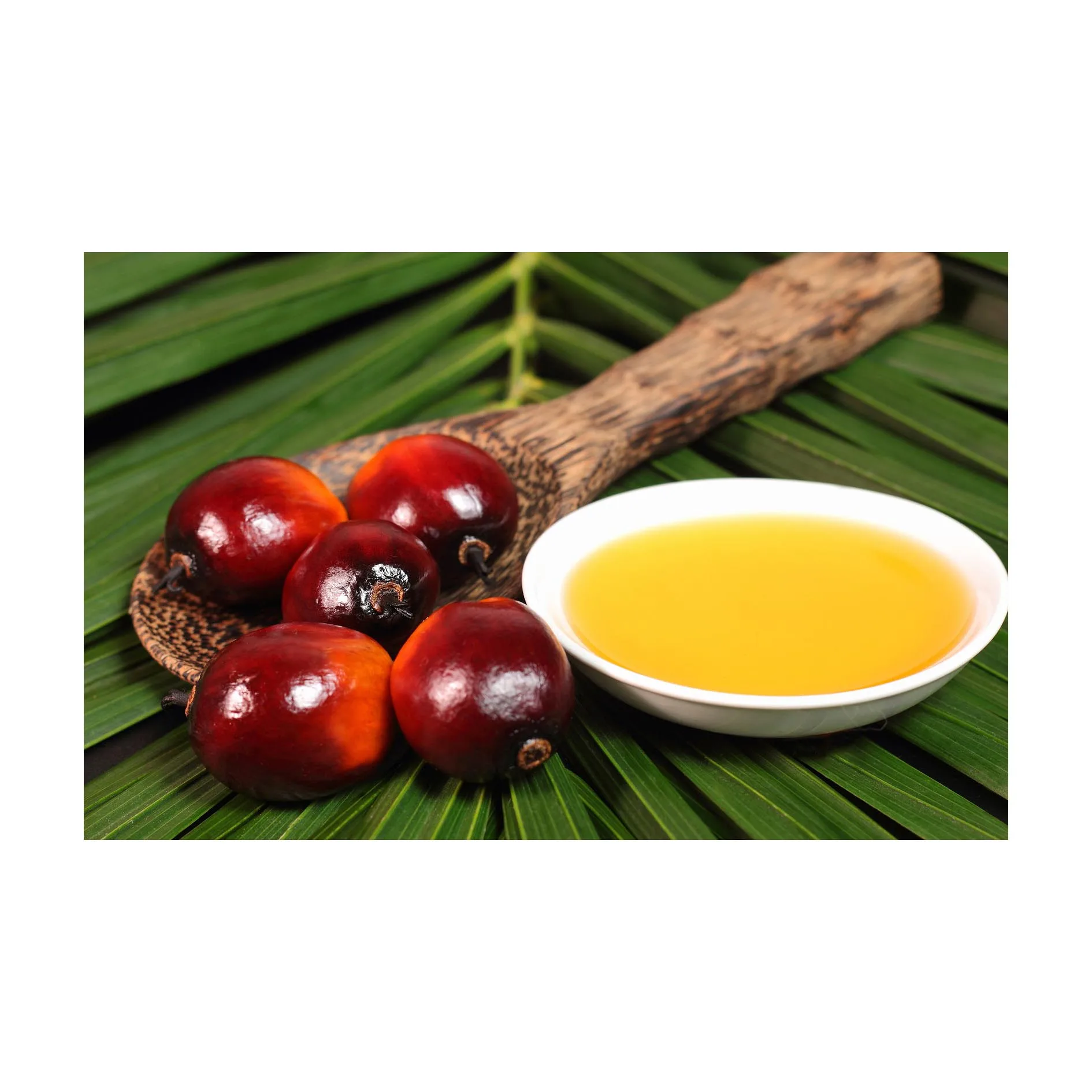 Red Palm Oil / Rbd Palm Oil / Palm Kernel Oil For Sale Palm Oil Factory ...