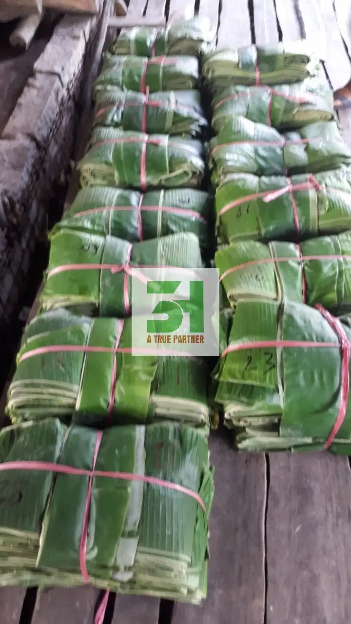 Fresh Banana Leaf,Fresh Banana Leaves Vietnam Export For Wholesale From ...