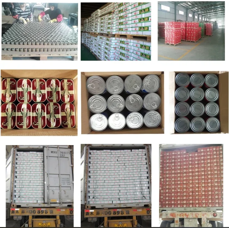 Canned Tuna Chunk In Oil Brine Fish White Meat Fresh Canned Seafood ...