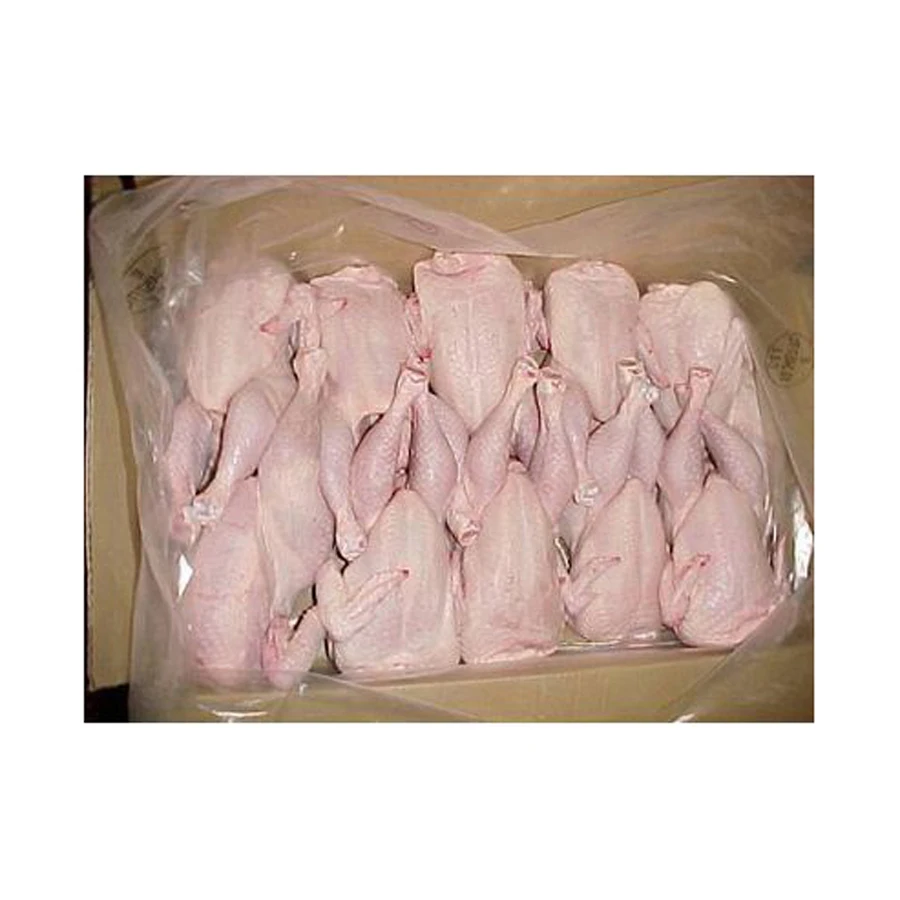 Halal Certified Frozen Whole Chicken For Sale Wholesale Frozen Halal ...