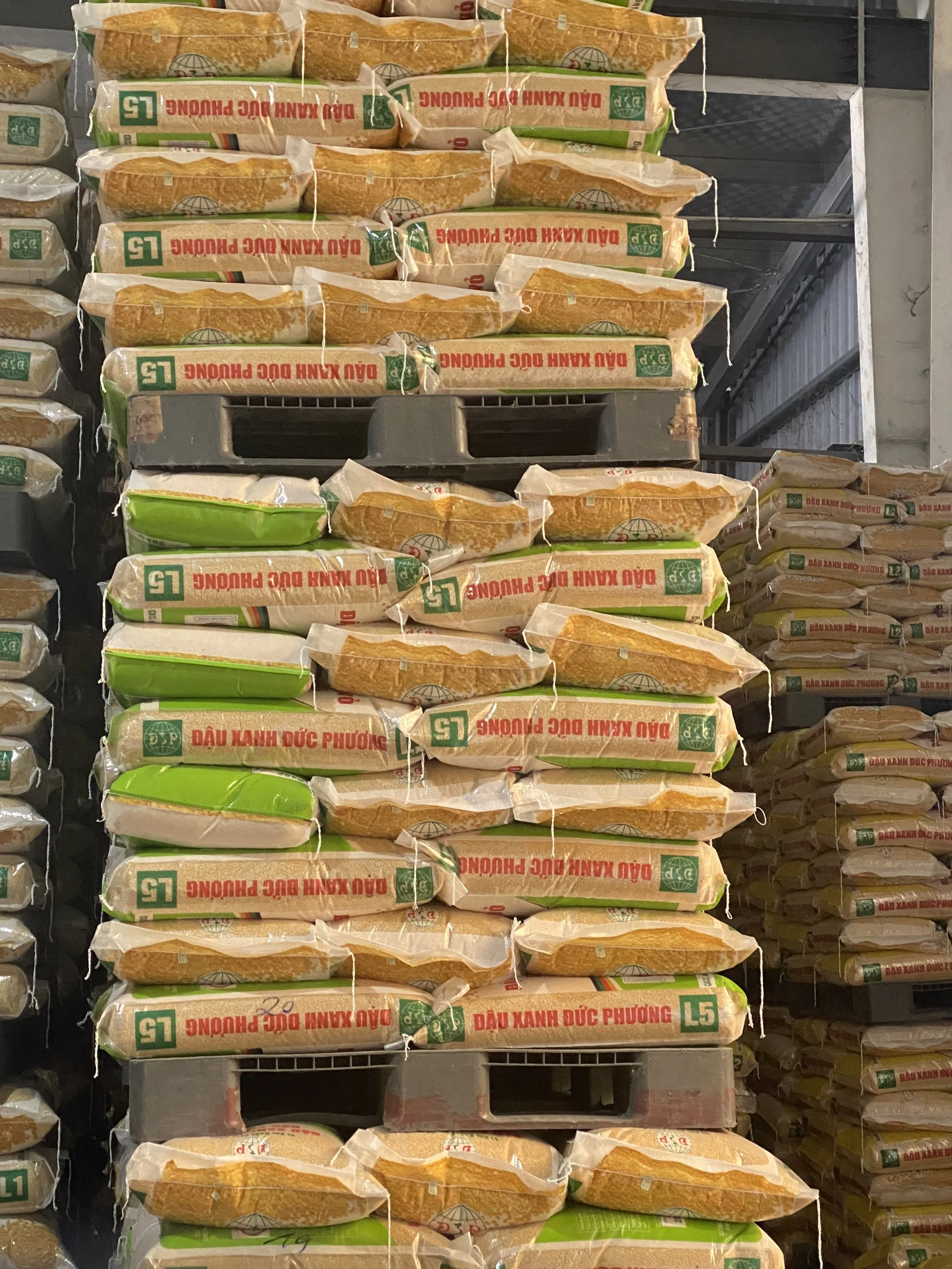 Black Rice From Viet Nam New Crop Food Rich Nutrition Organic Rice ...