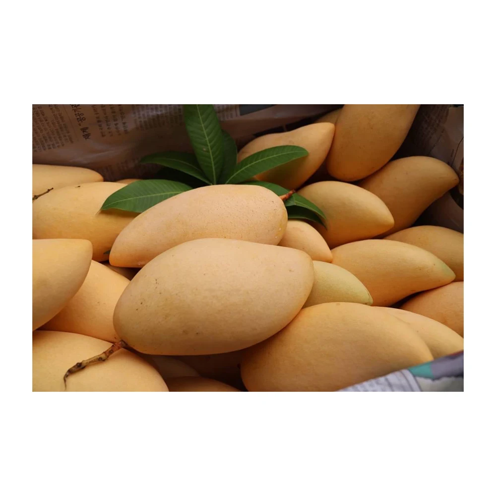 Mango Fresco Premium De Tailandia,100% Natural,Calidad Prémium,El Mejor ...