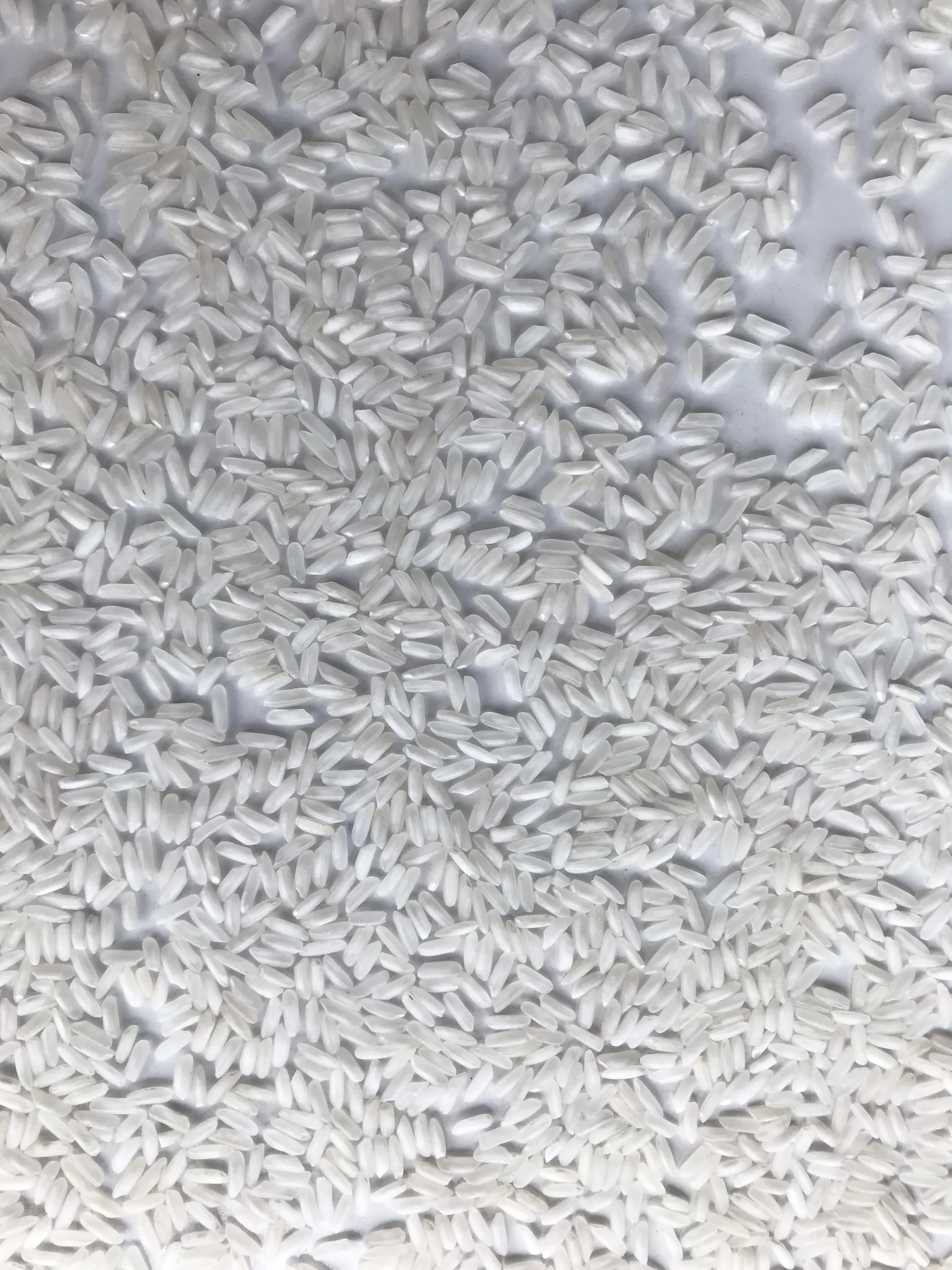 Alibaba.com: ANNA DO 504 White Rice with 5%, 25%, or 100% broken grains ...