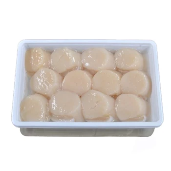 Fresh Scallop Meat Shell Live Bulk Seafood Products Wholesale - Buy ...