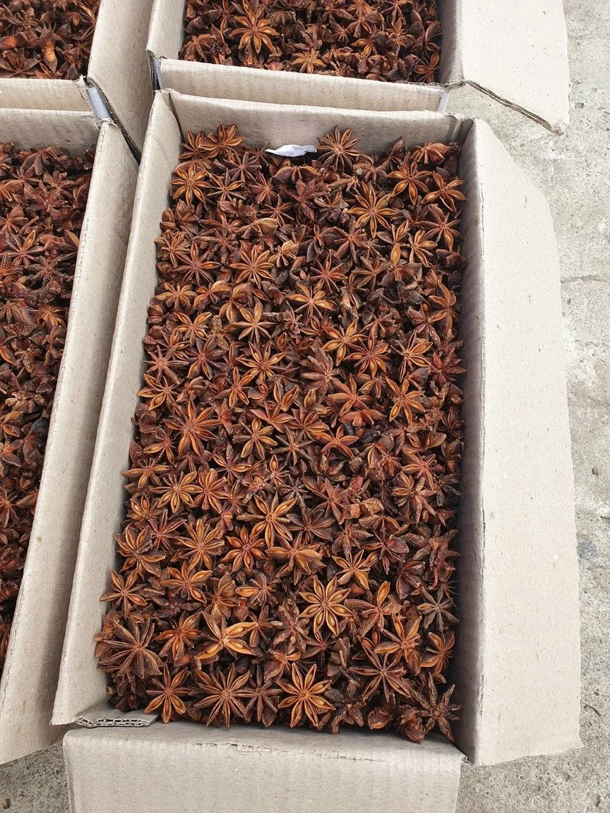 Organic Whole Dried Star Aniseeds- Anise Best Quality - Good Package ...