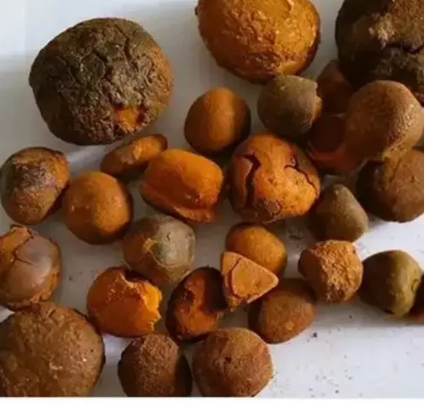 Best Quality Bolivia Cow Gallstones Ox Gallstones Calculus Bovis Cattle ...