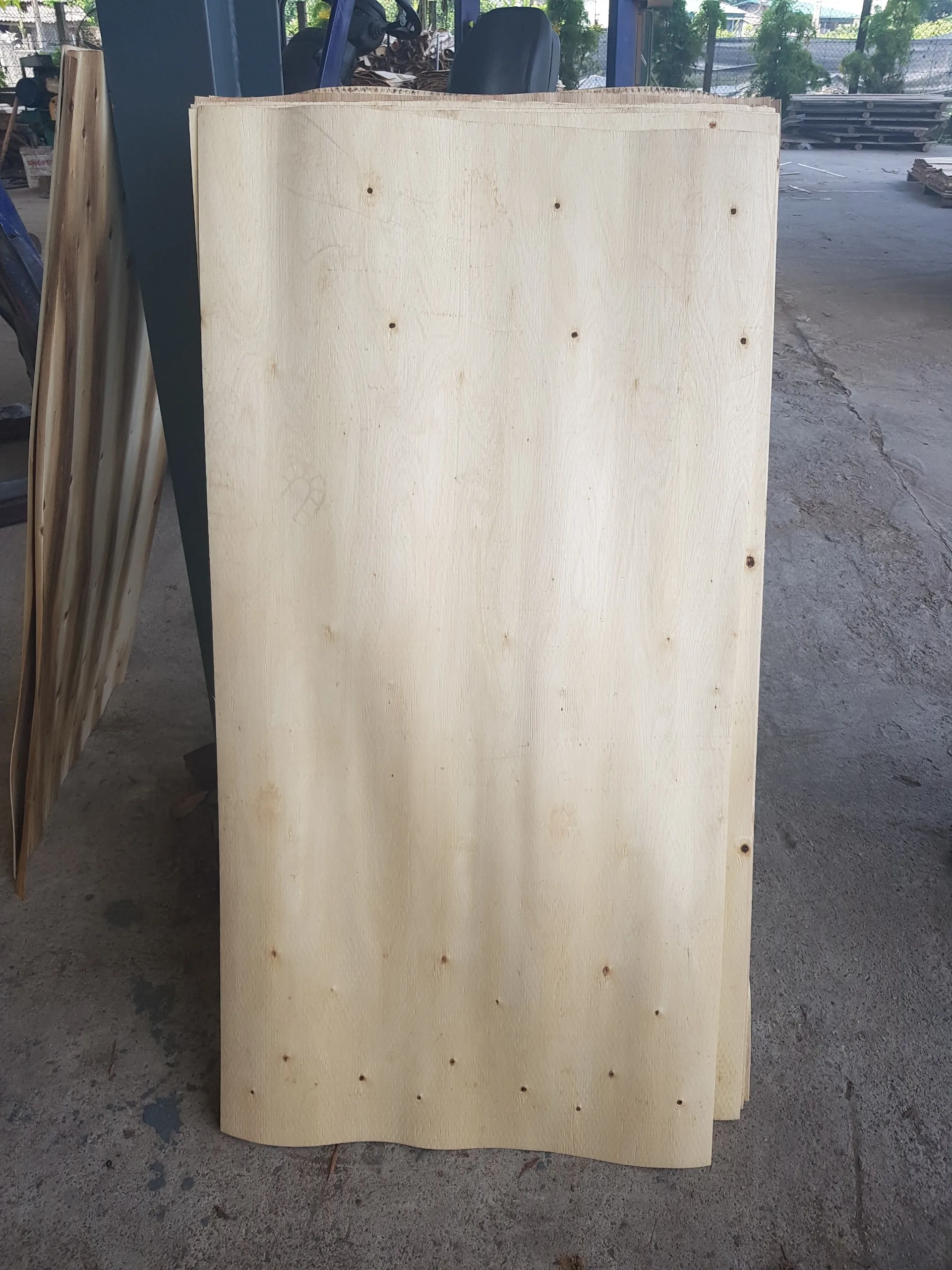 Eucalyptus/acacia Wood Core Veneer 2023 Vietnam - Natural Sliced Wood Veneer Export - Buy Core ...
