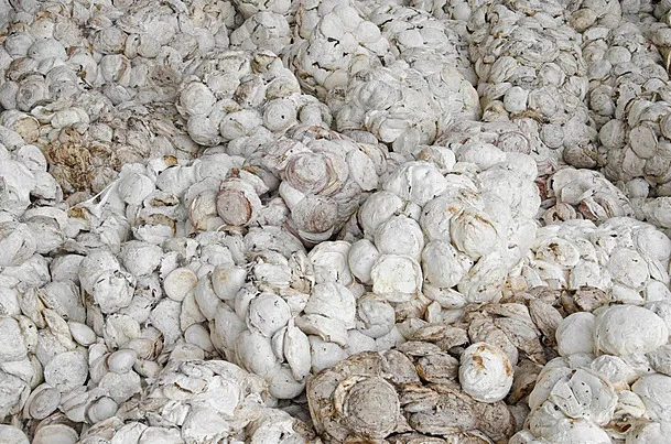 Natural Rubber Cup Lump Great AA+ - Versatile & Durable