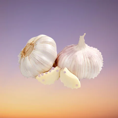 Fresh Chinese Garlic,Crop 2023,Exported From Egypt - Buy Chinese Garlic ...