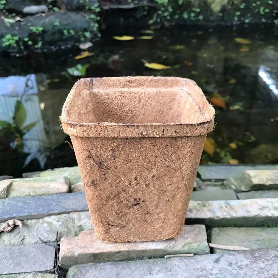 Best-selling,Premium-grade Sustainable Vase Flower Pot Coir Pot Coconut ...