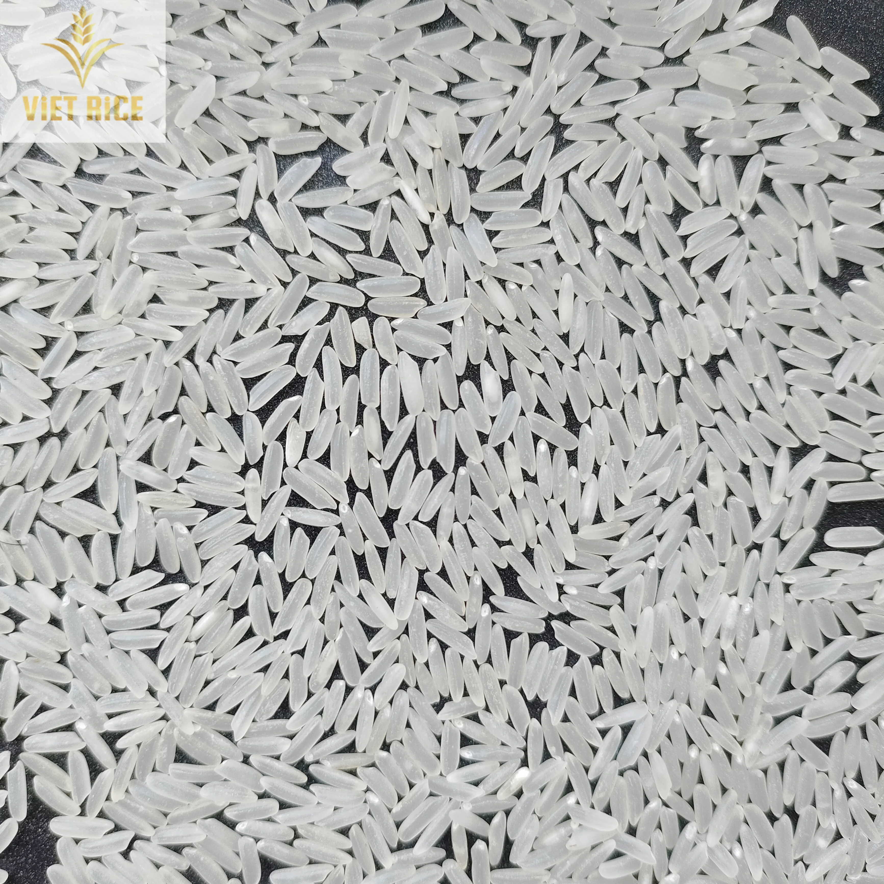 504 Long Grain White Rice Best Quality Vietnam 5% Broken - Buy ...