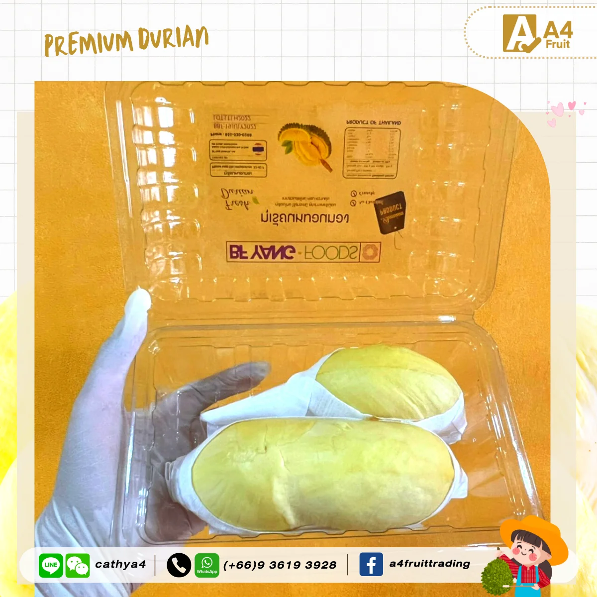 Fresh Durian Fruits For Sale Fresh Durian From Thailand Quality ...
