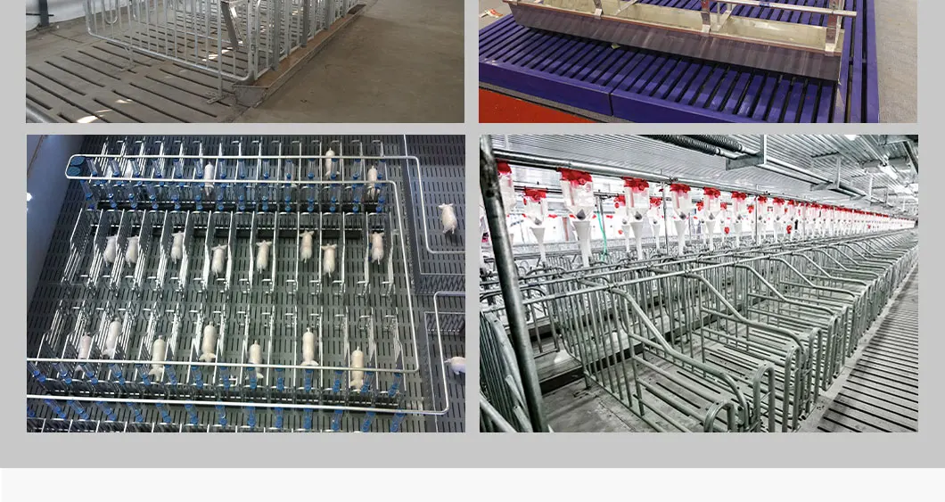 Gestation Crates For Pigs Sow Gestation Stall Sow Pregnancy Cage - Buy ...