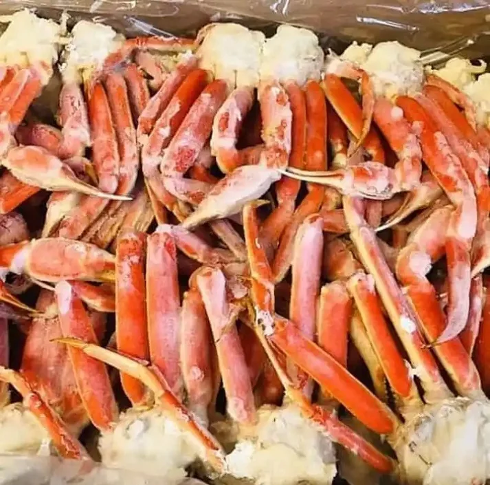 Frozen Red Snow Crab Legs - High Grade Snow Crab Clusters, OEM