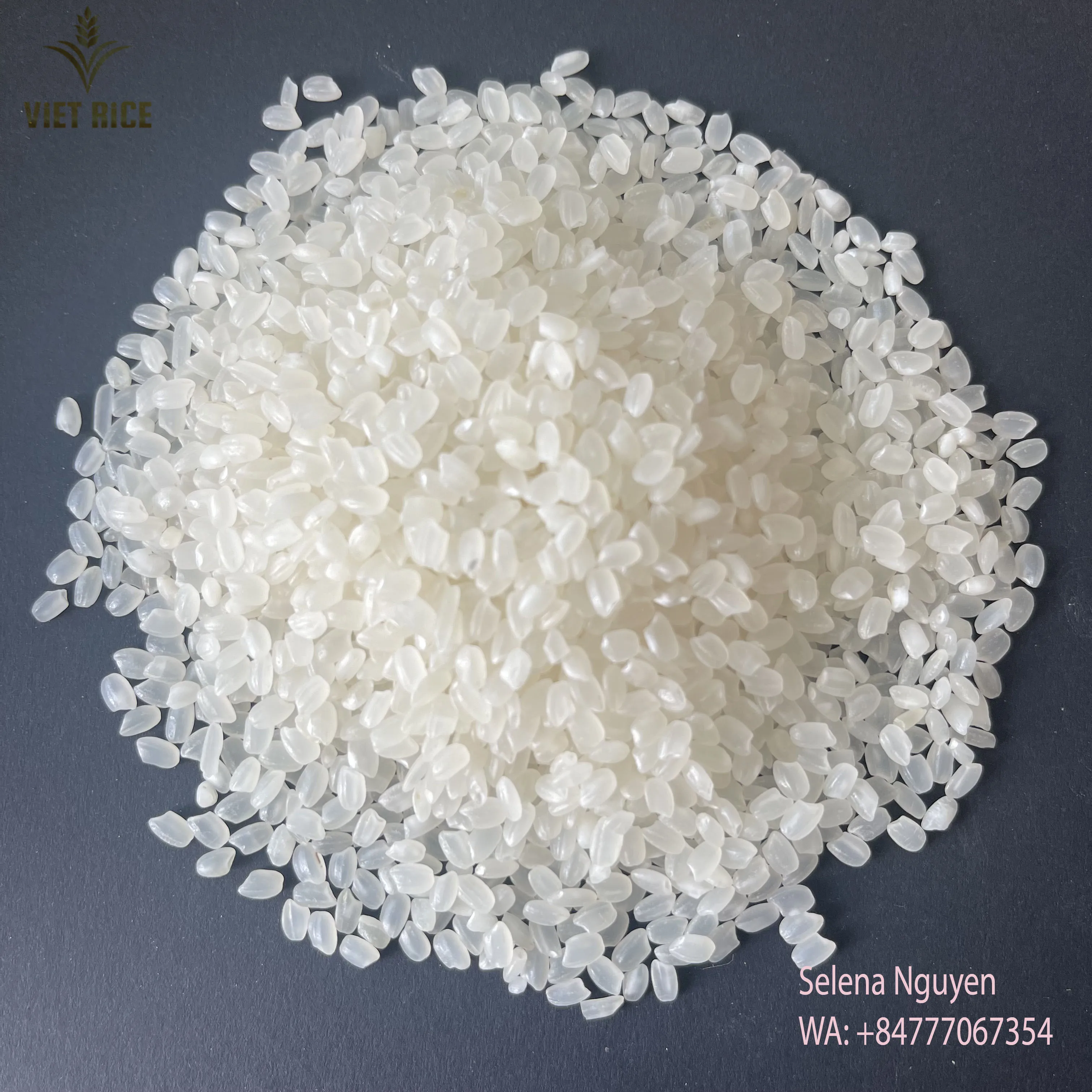 Japonica Rice (sushi Rice) - Super Premium Short Rice From Vietnam Factory Ready To Export +84 ...