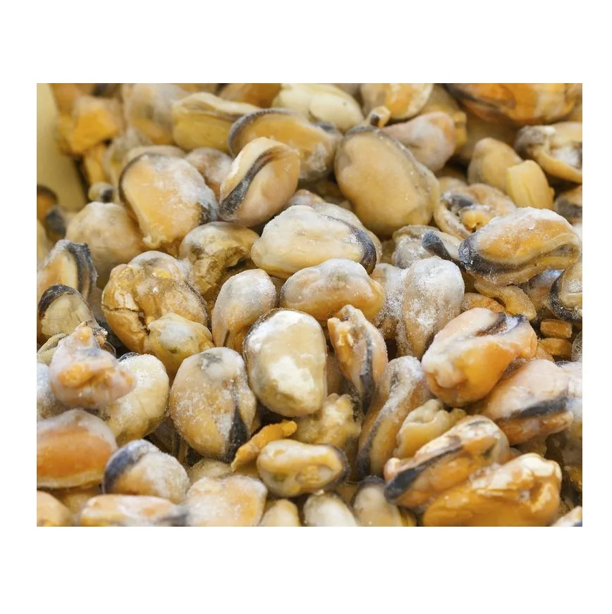 Frozen Half Shell Mussel - Buy Best Quality Hot Sale Price Frozen ...