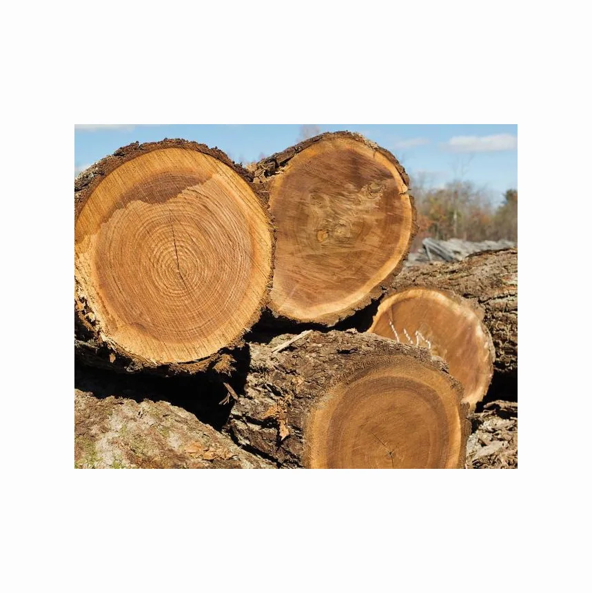 Top Grade Teak Wood Timber Bulk Quality Dry Round Teak Logs Durable ...