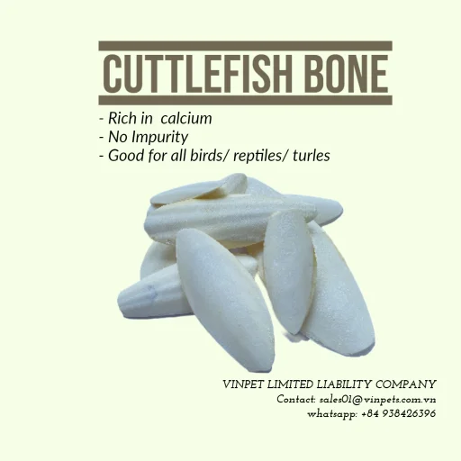 Premium Bird Toys Cuttlefish Bone Cuttlebone 100% Natural Manufacturer ...