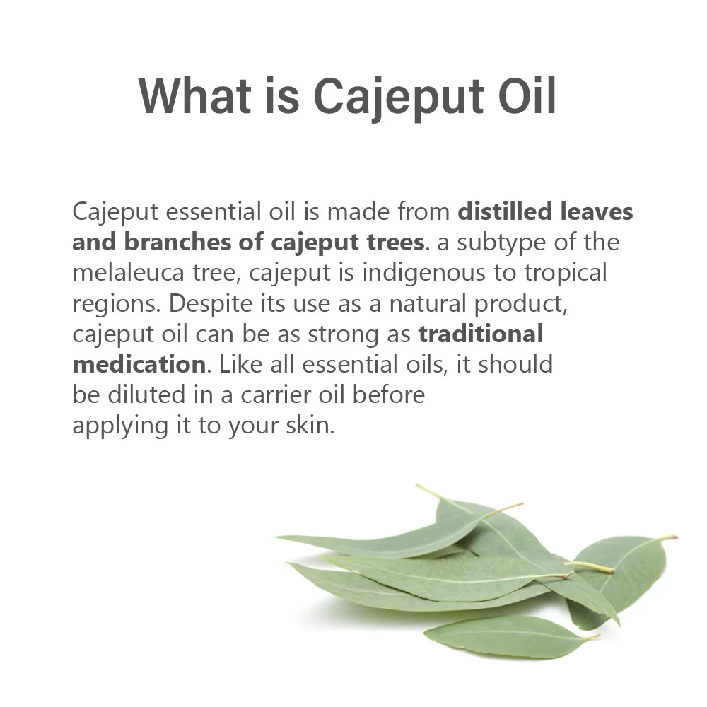Eucalyptus Natural Cajeput Tree Extracted Fresh Leaves And Twigs Premium Quality Cajeput Oil ...