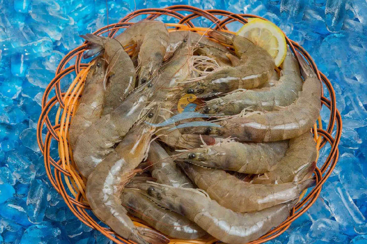 Wholesale Premium Seafood Frozen Vannamei Shrimp Good Quality Best ...