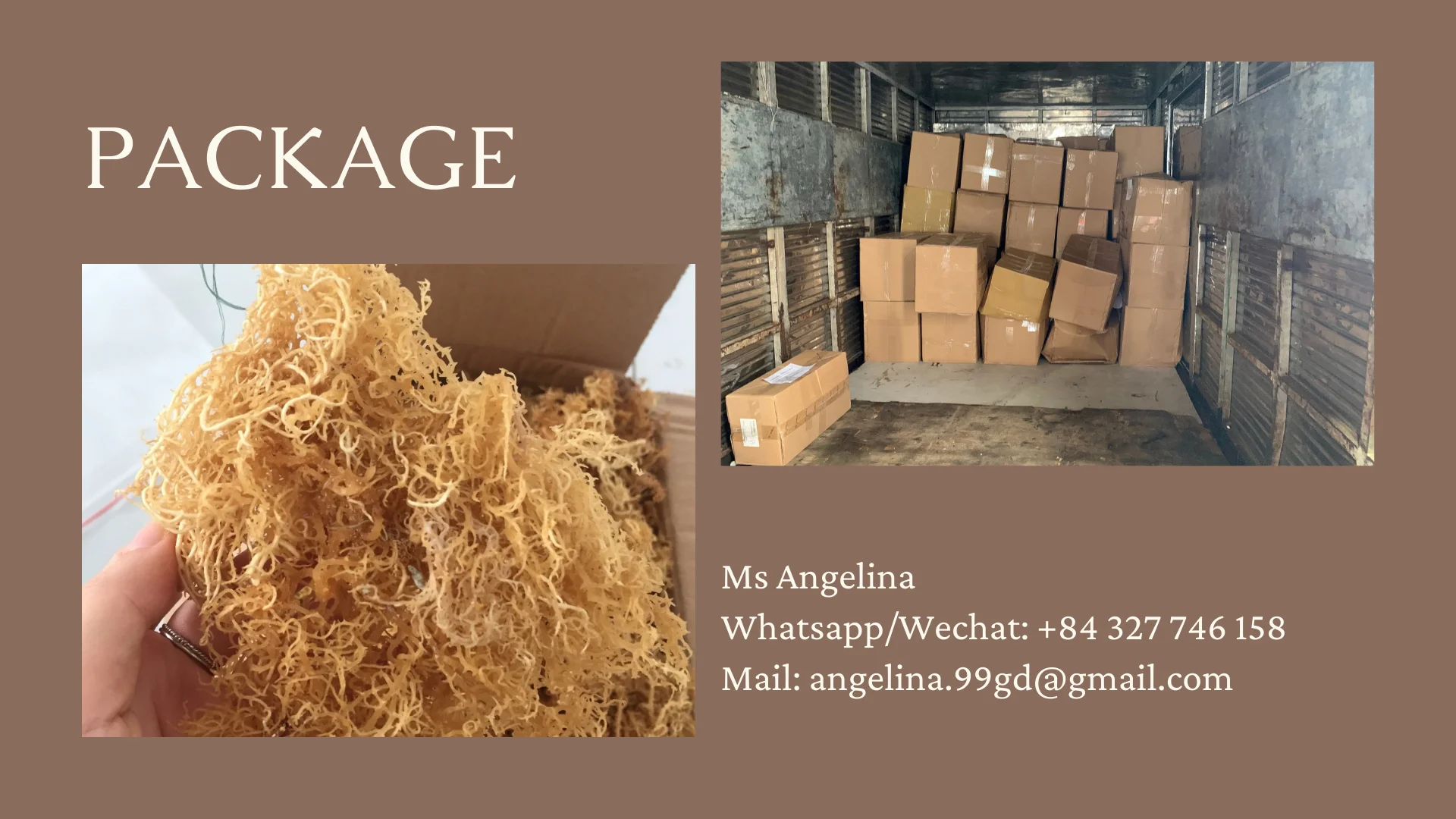 Dried Wild Craft Sea Moss Eucheuma Cottonii Spinosum Seaweed Irish ...