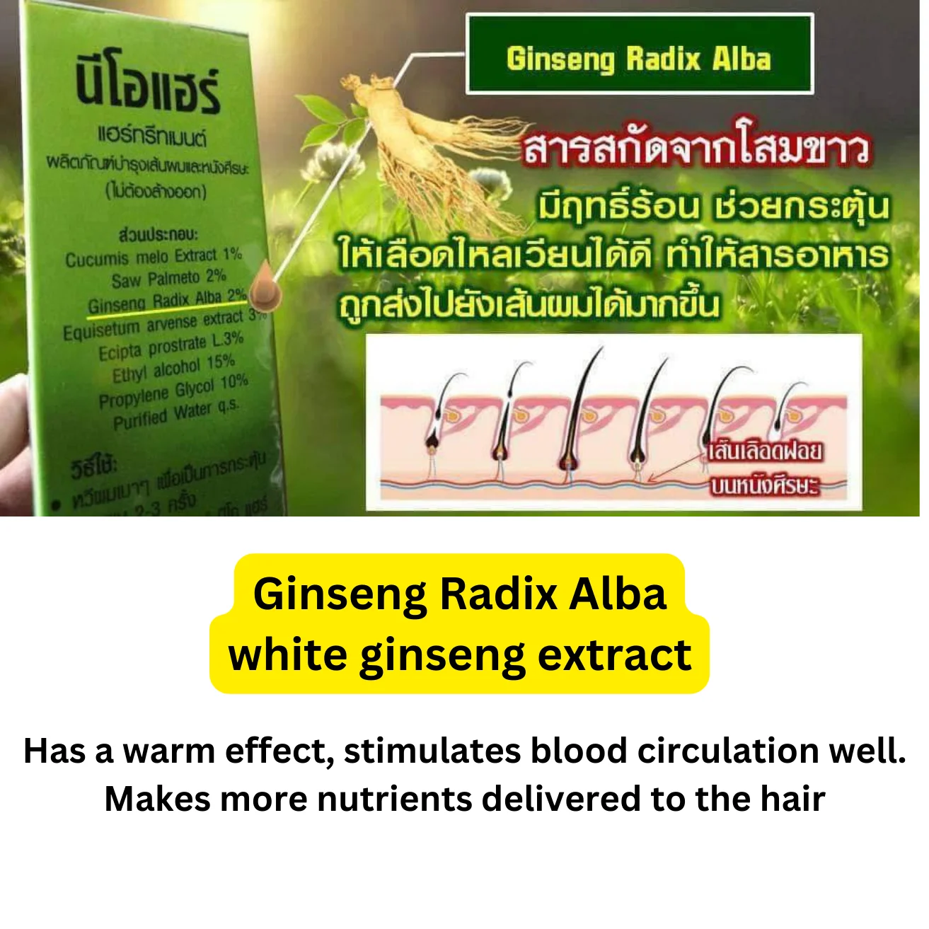 Wholesale Private Label Green Weath Neohair Fast Hair Growth Loss