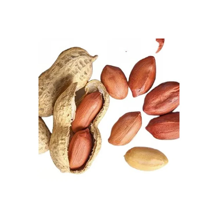 Wholesale Sheller Raw Peanuts Packaging Dried No Shell Bulk Peanut Nuts ...