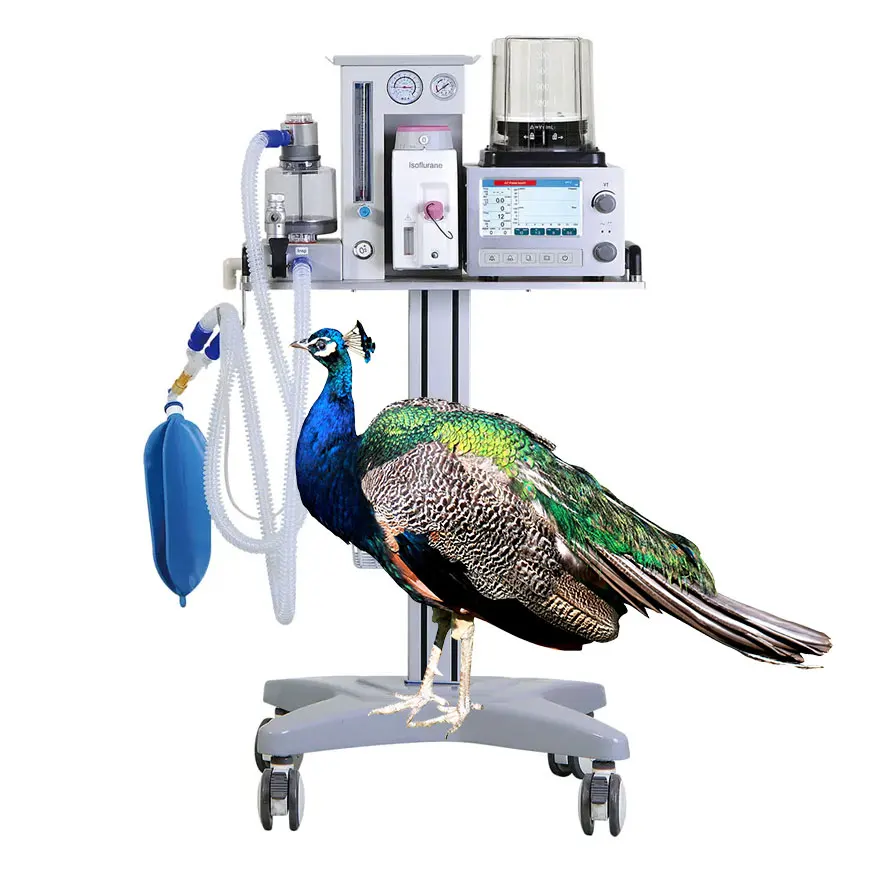 Veterinary Anesthesia Machines - Isoflurane & Sevoflurane