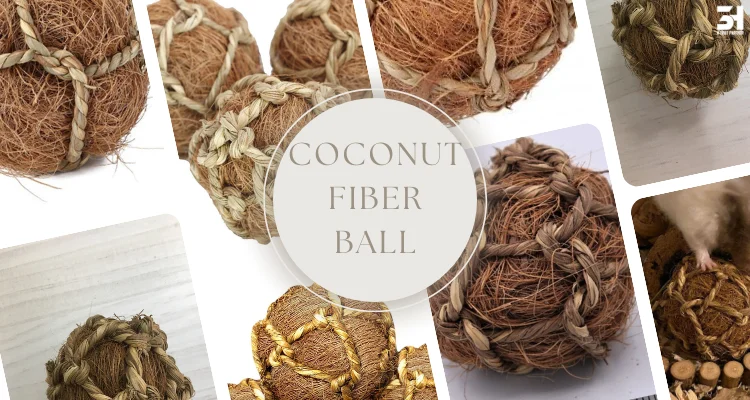 The Best Toy For Your Pet's Teeth Coconut Fiber Balls Made In Vietnam ...