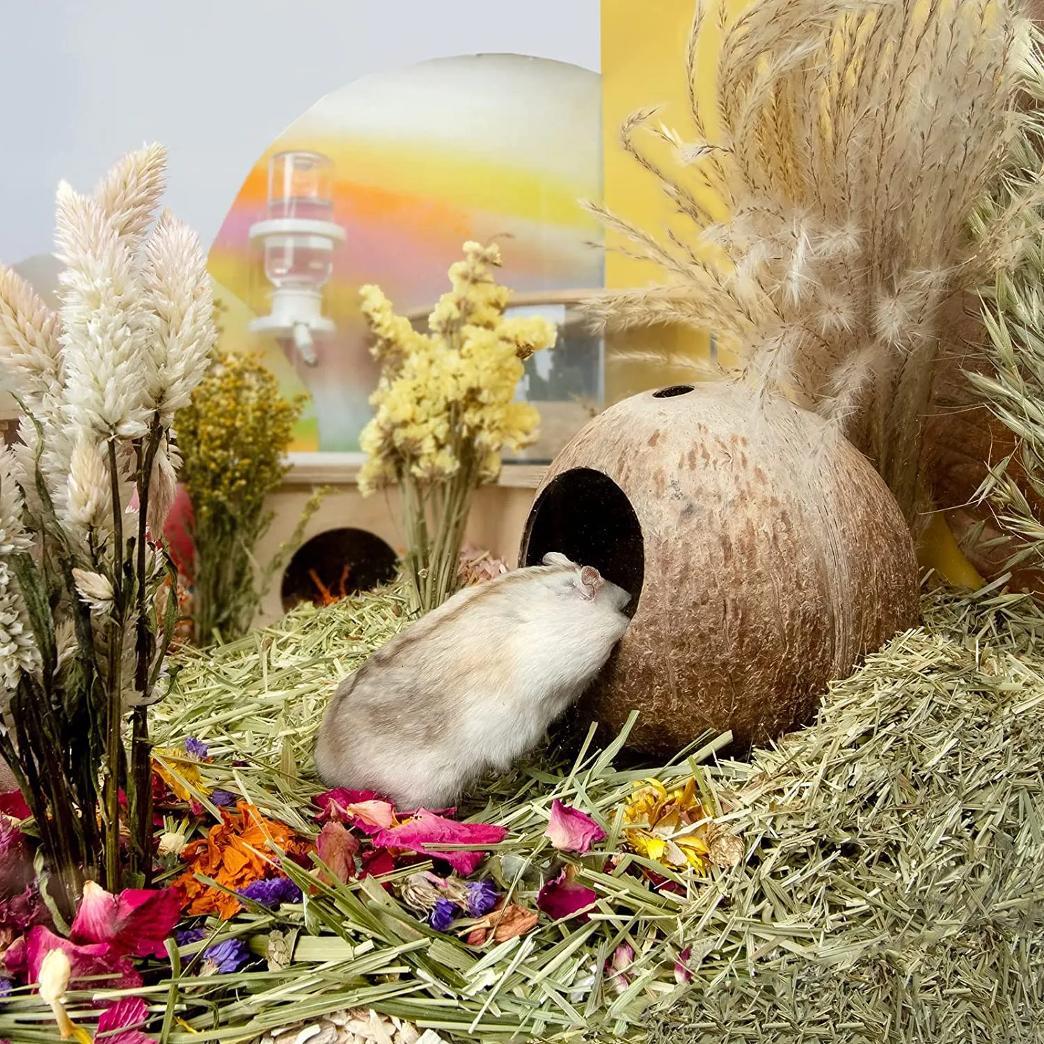 Natural Coconut Shell Hamster Nest - Sustainable & Durable