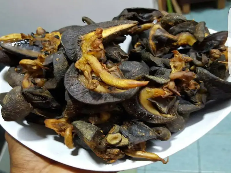 Cheap Price Fresh and Dried African Giant Snails Available| Alibaba.com