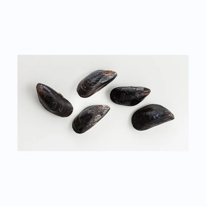 Frozen Seafood Mussel Half Shell Mussel Meat Frozen Shellfish For Sale ...