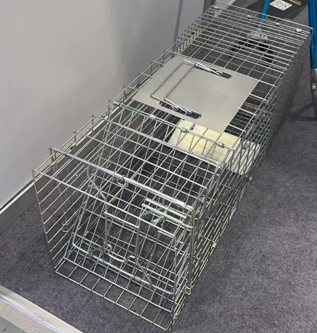 Small Collapsible Metal Eco-Friendly Animal Cage Trap Humane Live ...