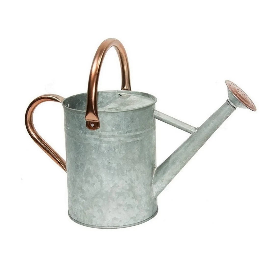 Galvanized Water Can for Home Garden Rust Free Plant Watering Can with ...