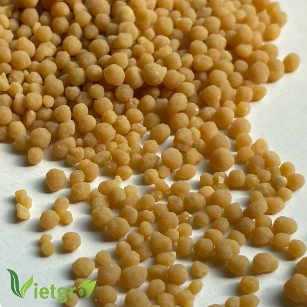 Vietgro All Markets Granular Diammonium Phosphate DAP Fertilizer 15-45 ...