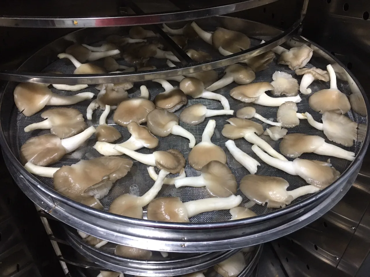 Cheap High Quality Dried Oyster Mushroom Air-drying Machine Dehydrated ...