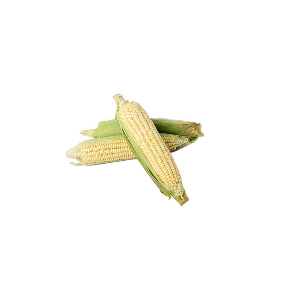 White Corn/ White Corn For Human Consumption Non Gmo White Corn/ Yellow ...
