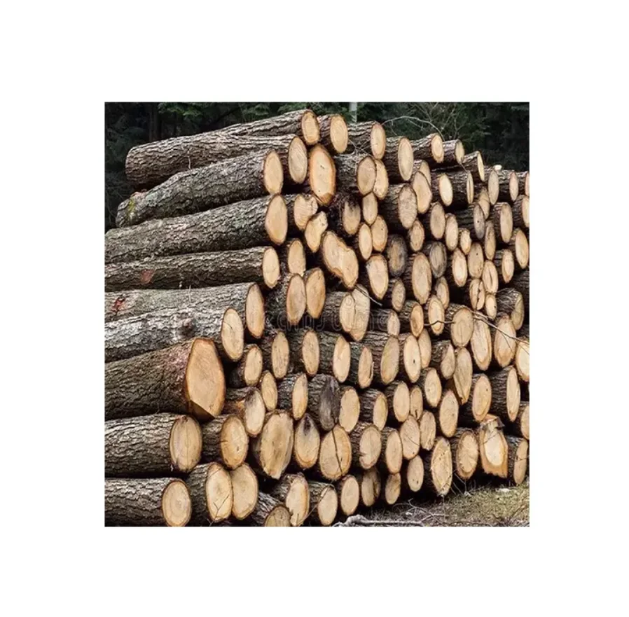 Wholesale Eucalyptus Wood Logs And Larch Logs Wholesales Price - Buy ...
