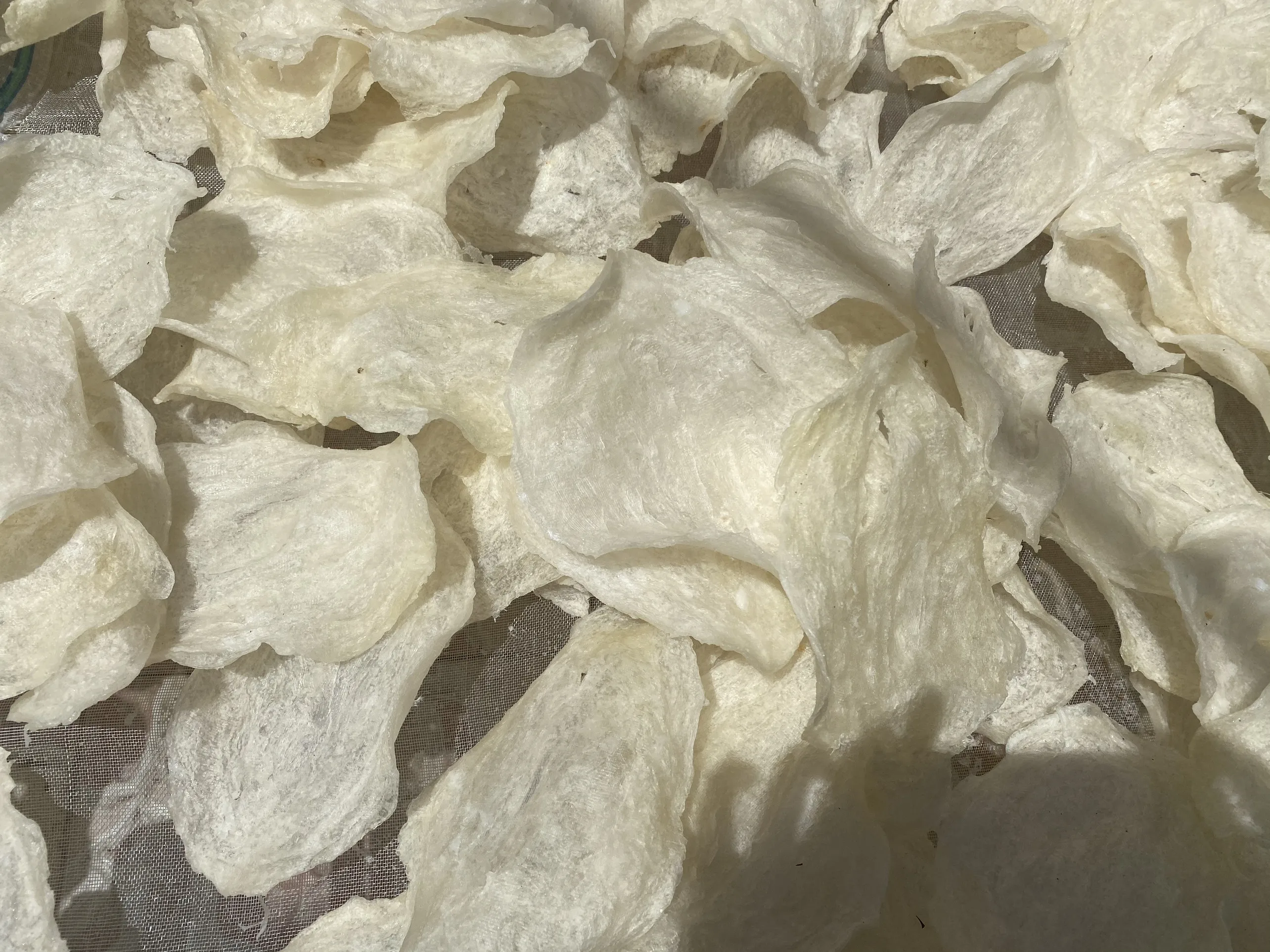 Dried Vietnamese Maw Dried Fish Maw Fish For Export - Buy Dried Fish ...