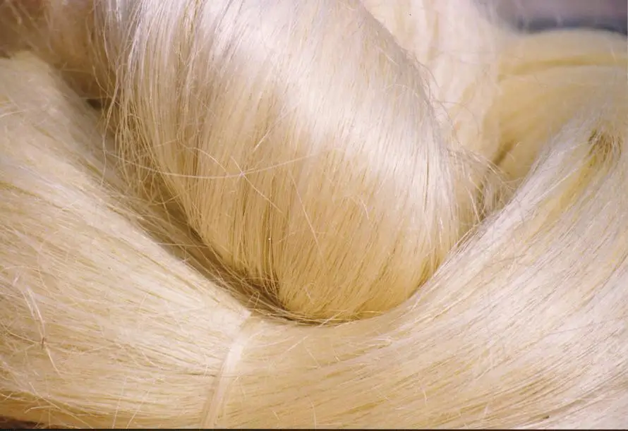 Wholesale Natural Palm Fiber / Sisal Fiber / Coconut Fiber - Buy ...