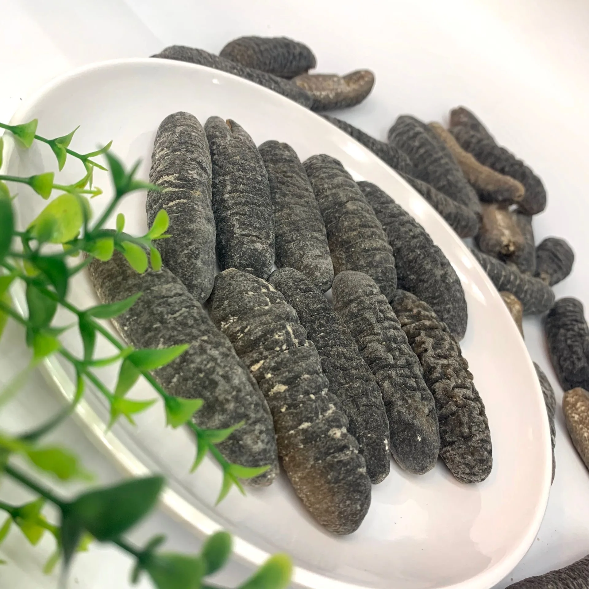 Top Quality Frozen Sand Fish Sea Cucumber - Buy Dried Mexico Sea ...