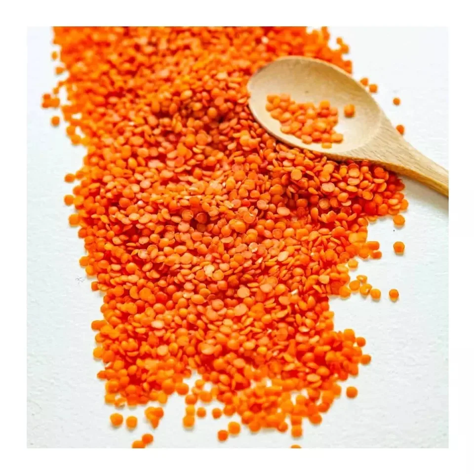 New Crops Red Lentil High Quality Organic Red Lentils In Bulk Max Gift ...