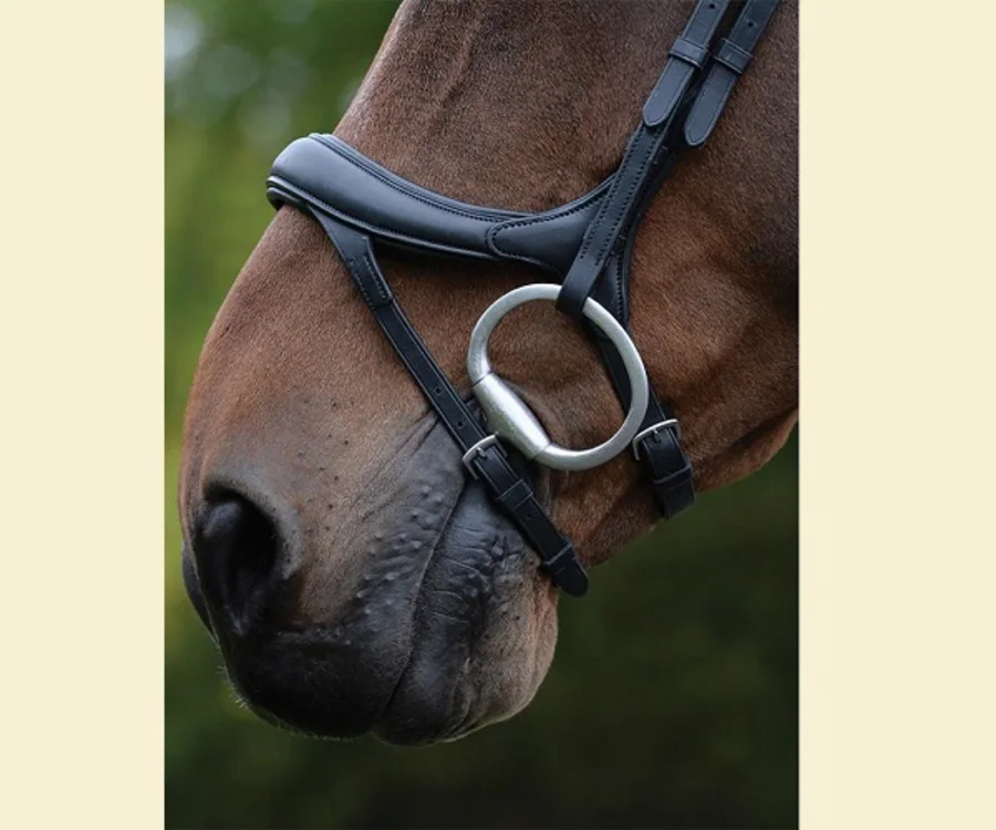 Vogue Anatomical Bridle Made From High Quality European Leather ...